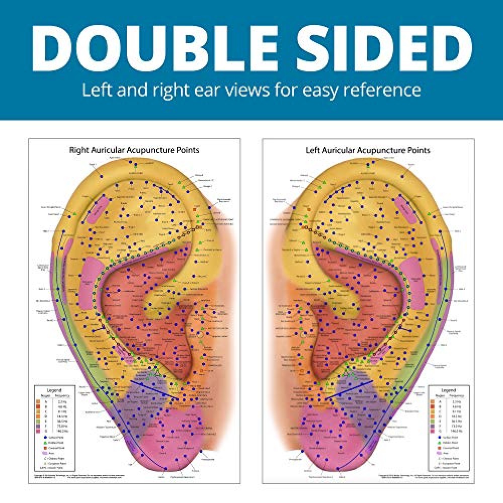 Ultimate Auriculotherapy Reference Card, Showing All Ear Points, Areas ...
